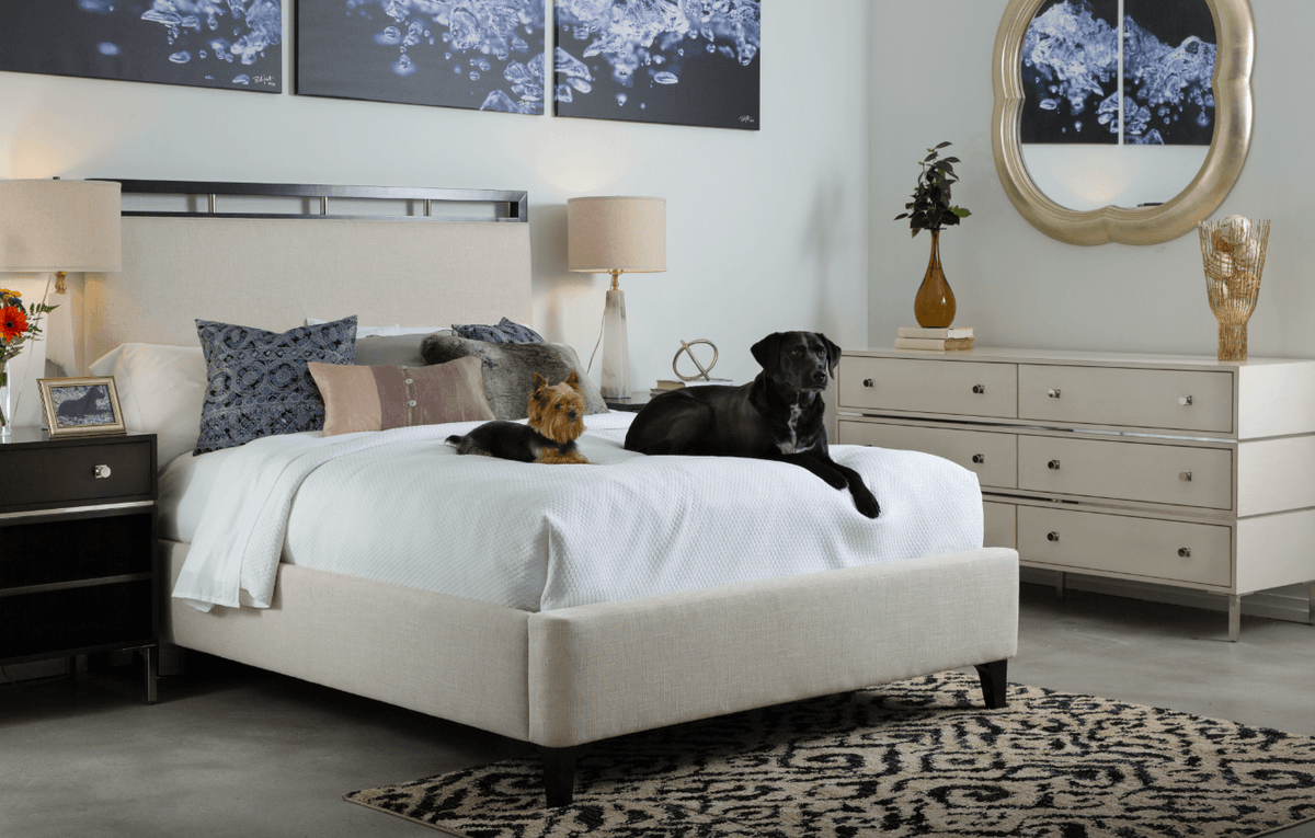 Store Locator – Belle Meade Signature